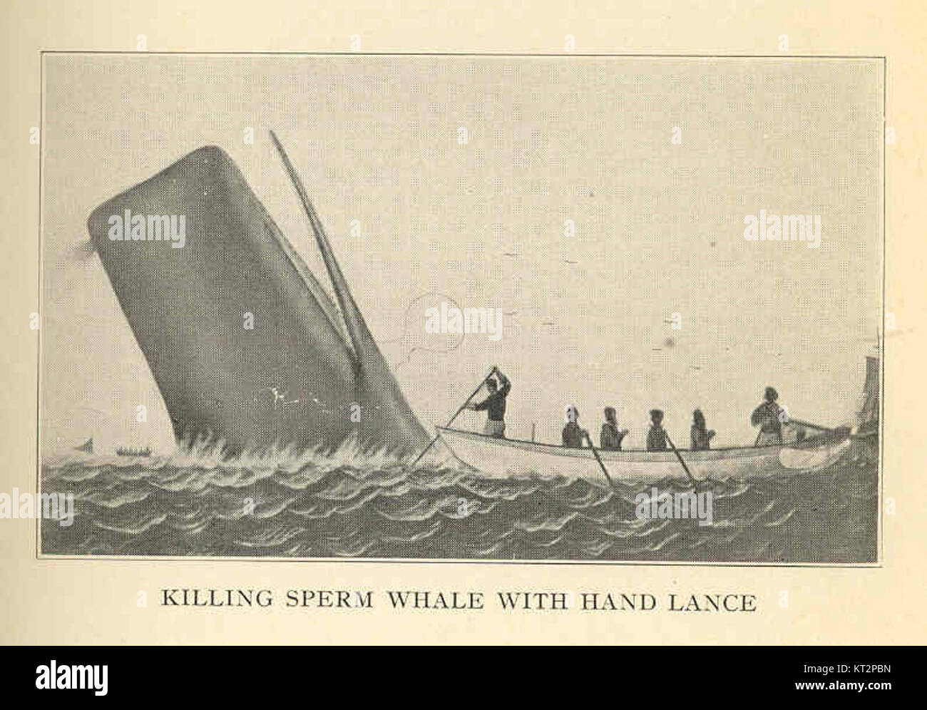 Image depicting the process of hunting a sperm whale with a hand lance ...