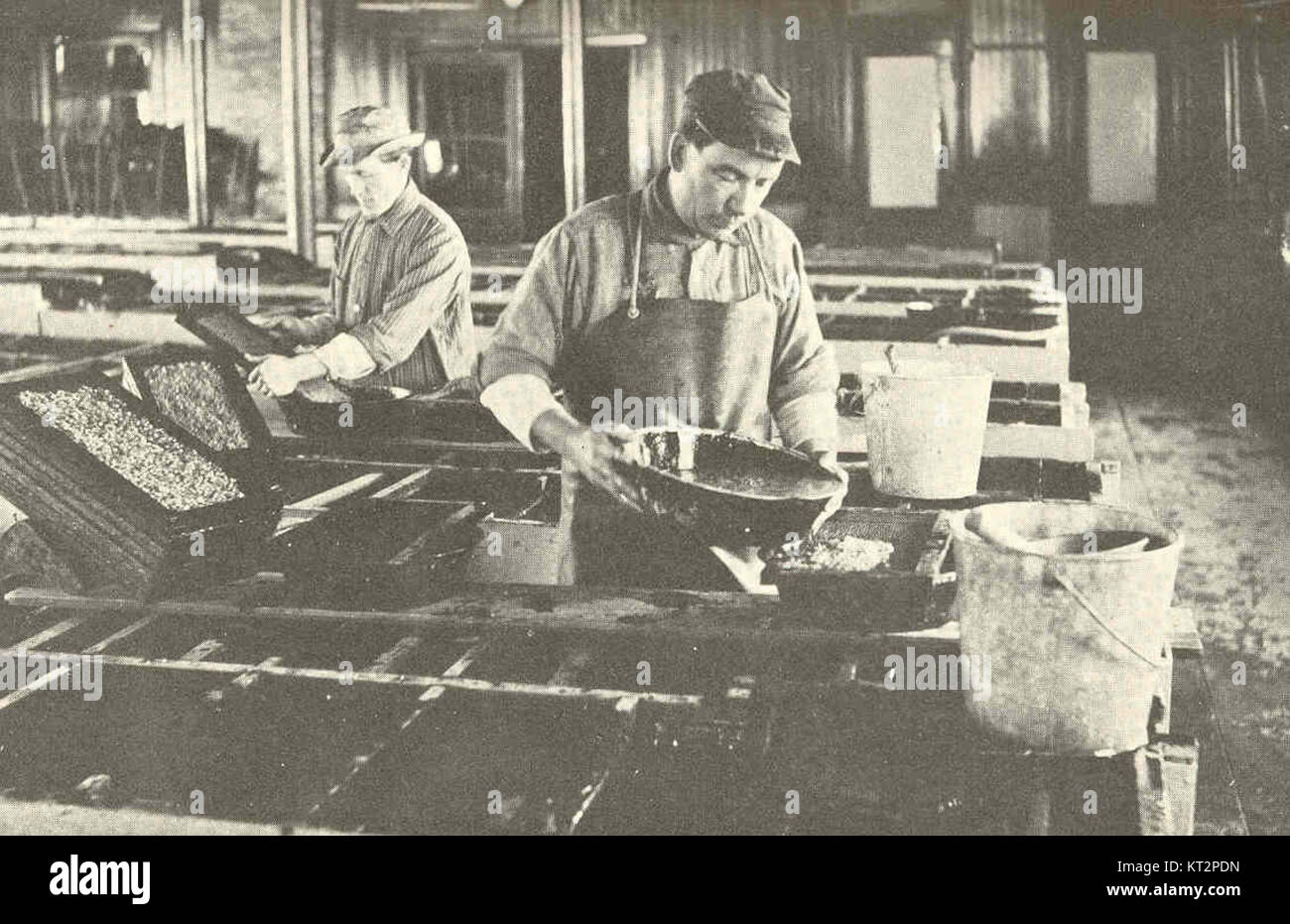 This image depicts the interior of a lake-trout hatchery, where the ...