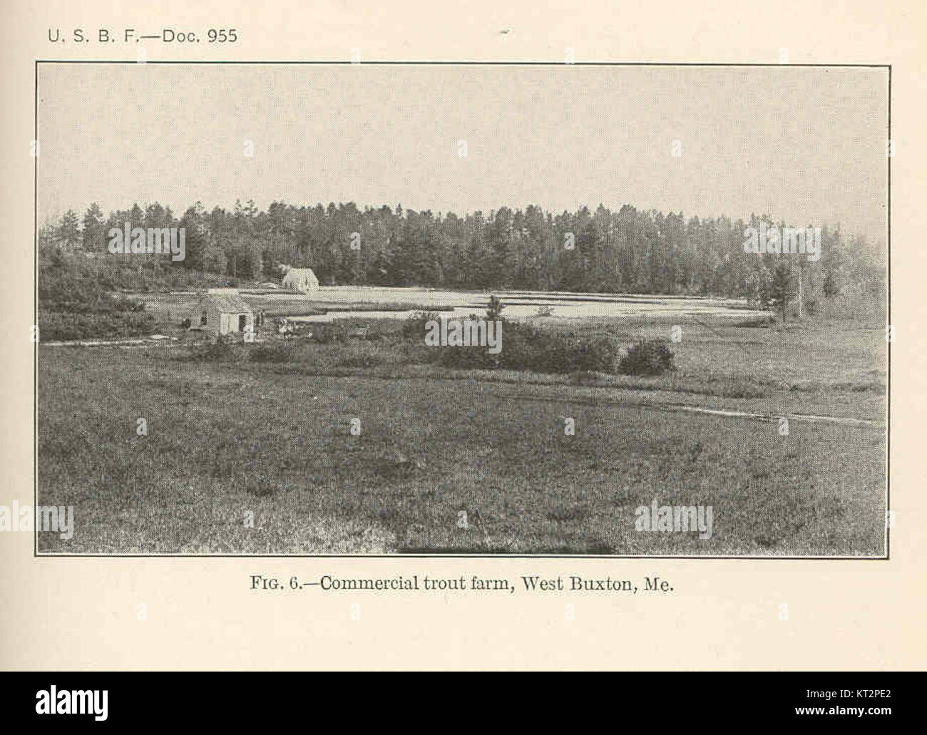 The Commercial Trout Farm located in West Buxton, Maine, is an ...