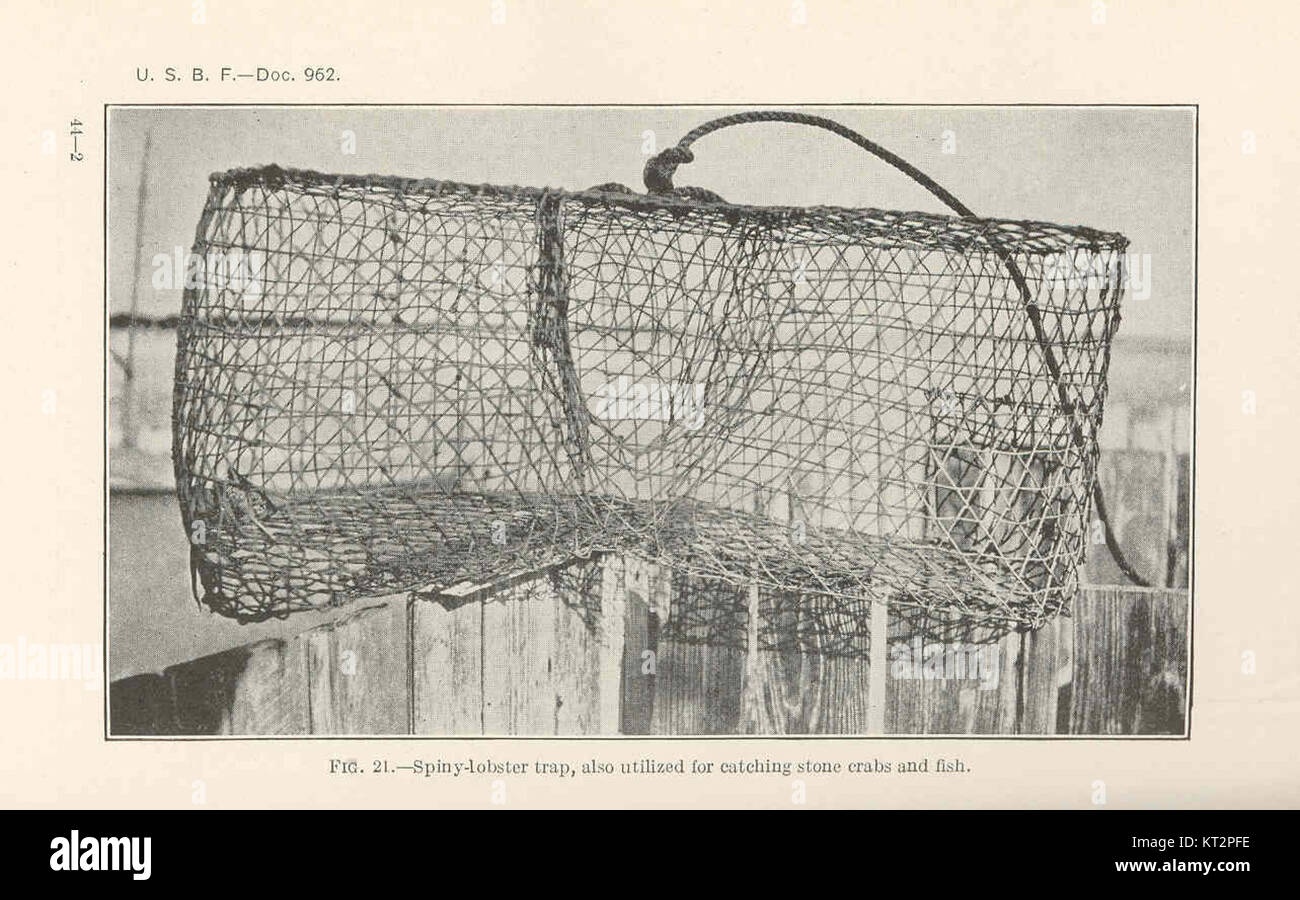 This spiny-lobster trap, catalog number 37658, is designed for catching lobsters but is also ...