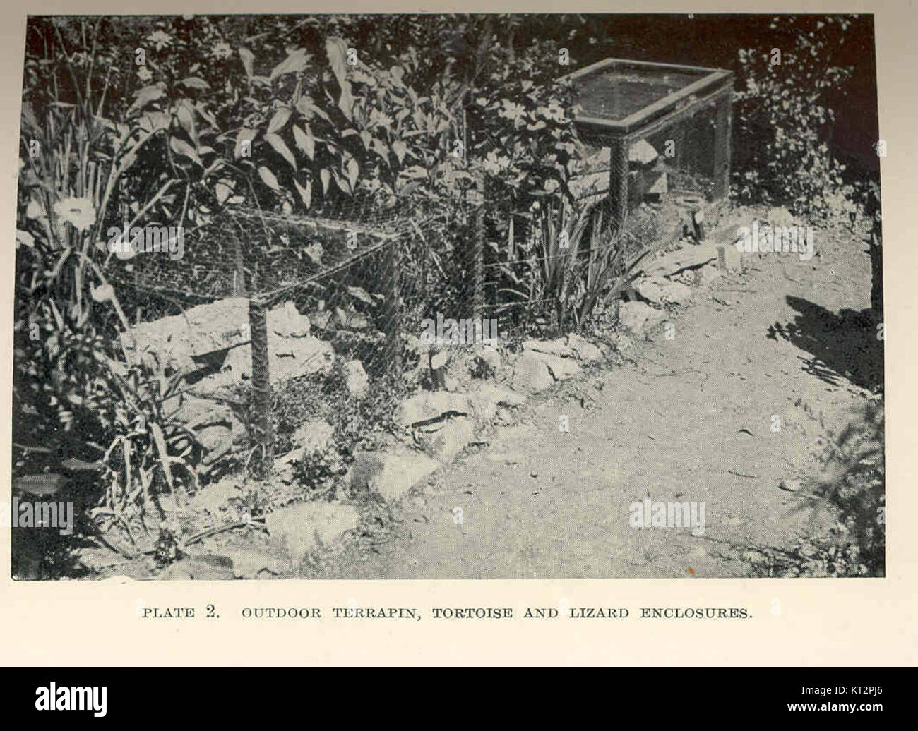 This image showcases outdoor enclosures designed for terrapins ...