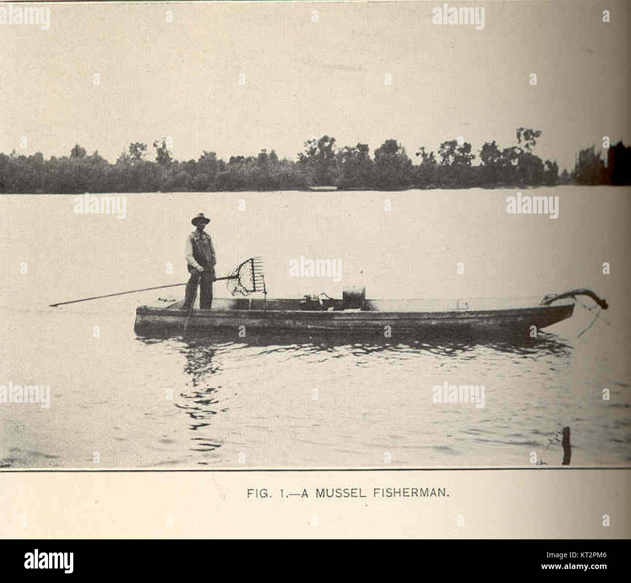 The Mussel Fisherman (ID 37755) represents a figure of labor in coastal ...