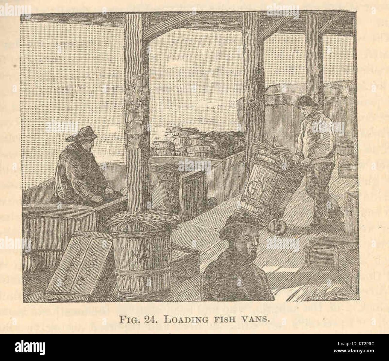 This image shows a busy scene of loading fish vans at a port. The vans ...