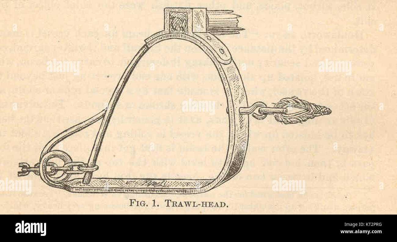 Fish net trawler catch hi-res stock photography and images - Alamy