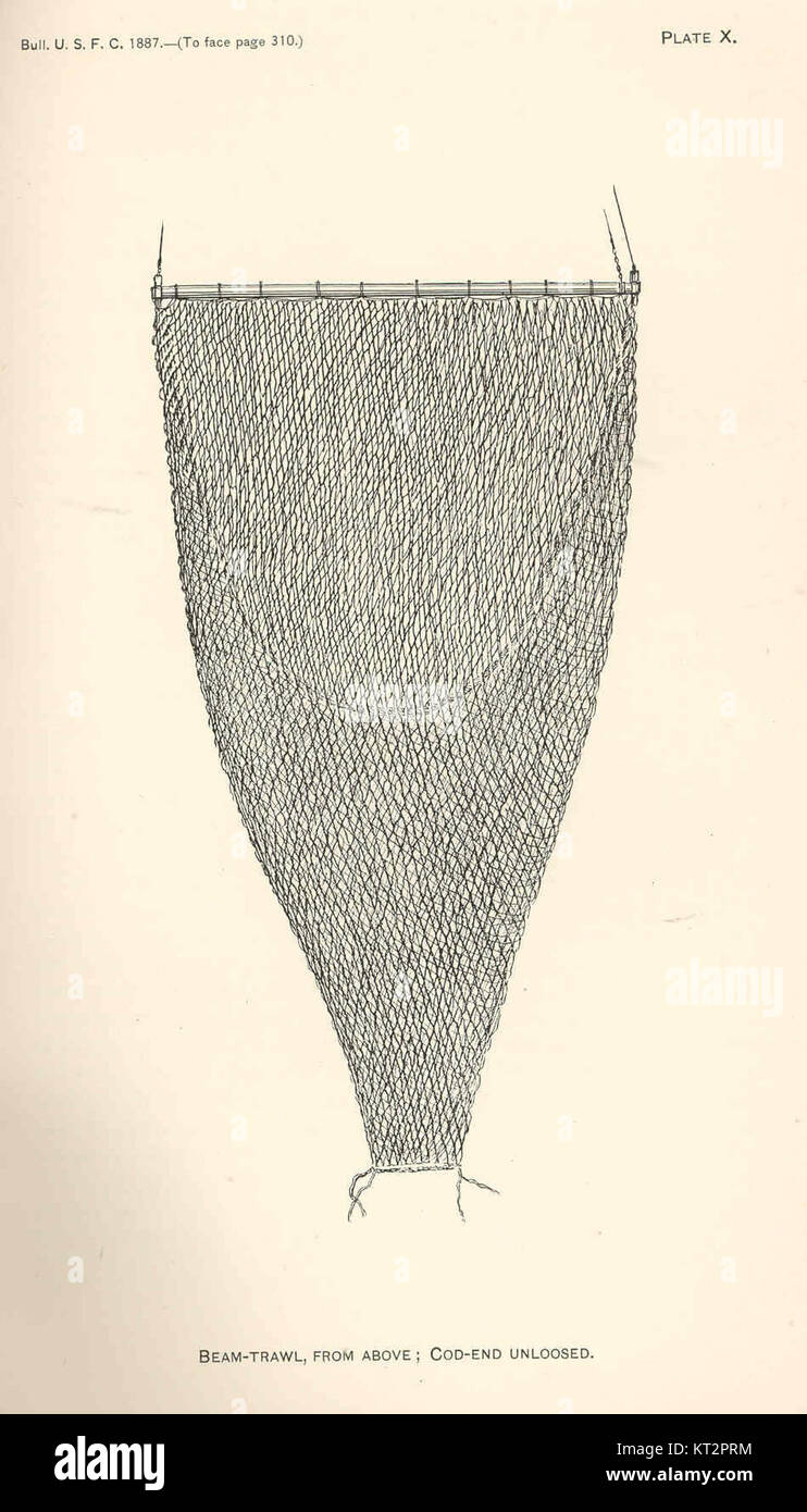This image shows the operation of a beam-trawl, a type of fishing gear ...