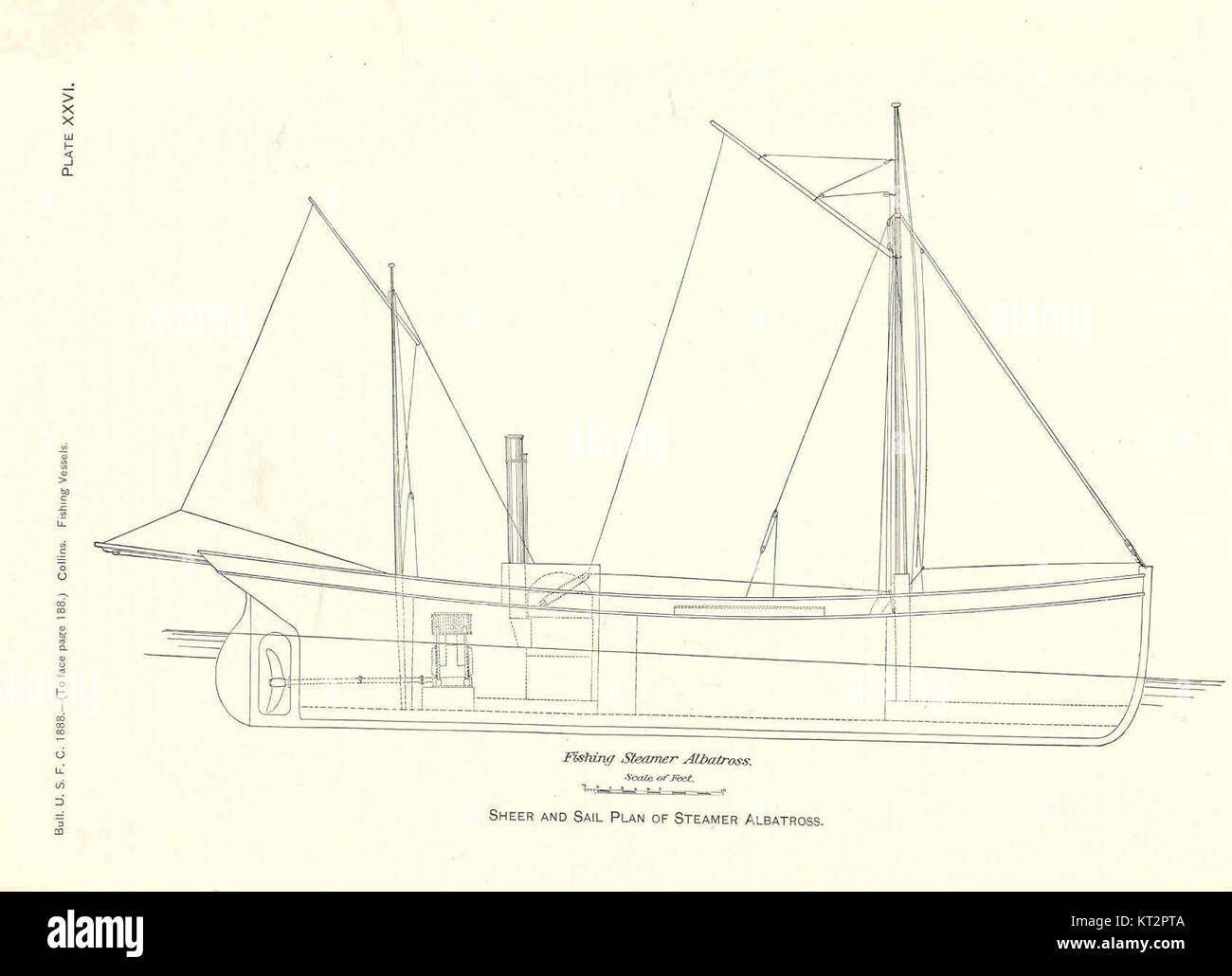 The plan depicts the sheer and sail design of the steamer Albatross, a ...
