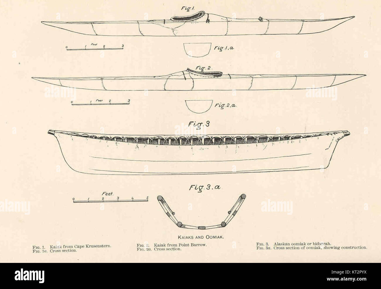 A depiction of traditional kayaks and an Oomiak, native watercraft used ...