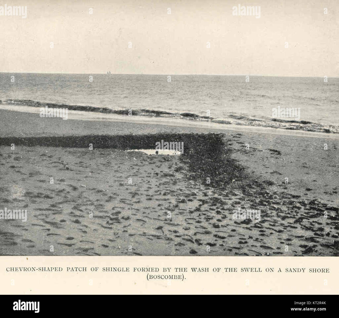 This image captures a chevron-shaped patch of shingle, formed by the ...