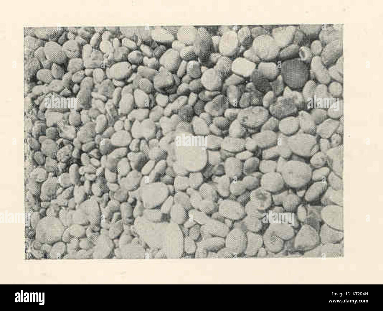 Beach scattered rock formations hi-res stock photography and images - Alamy