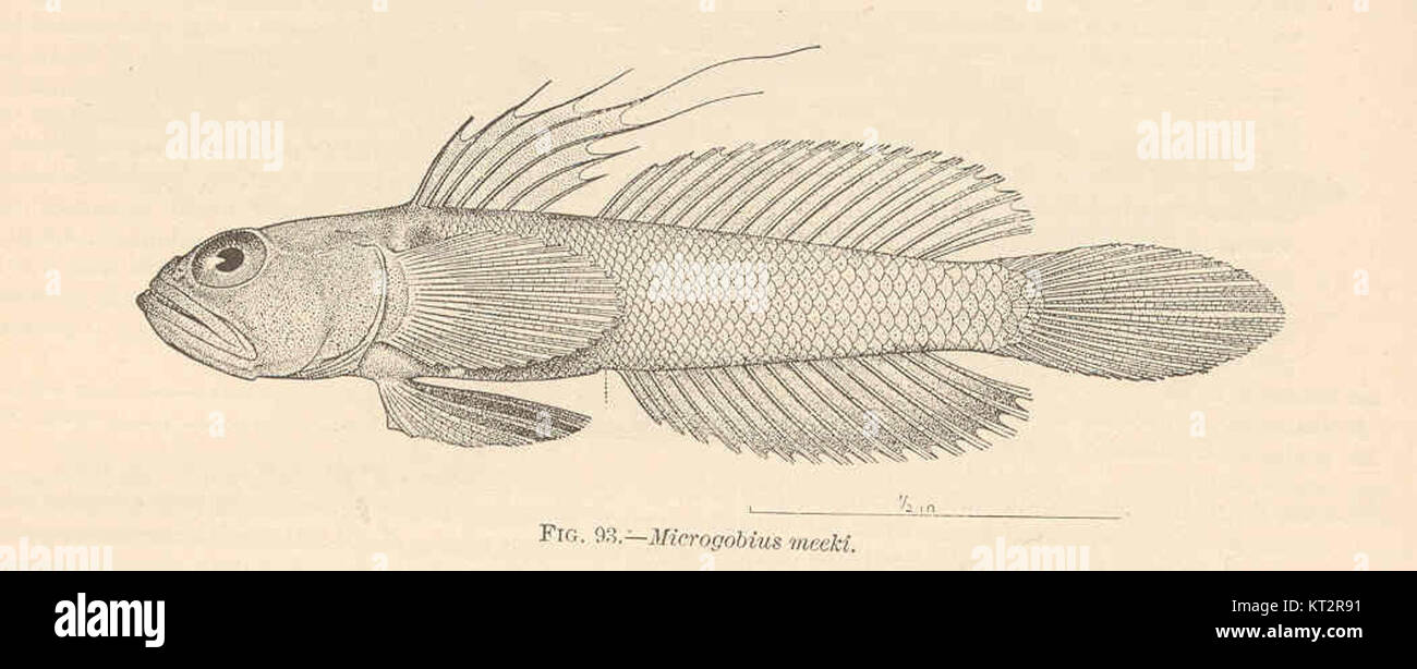 38105 hi-res stock photography and images - Alamy