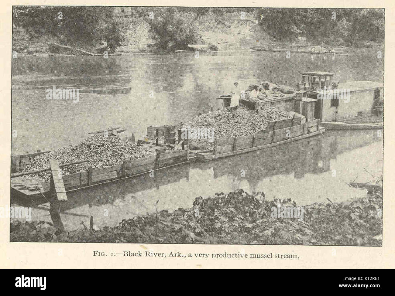 This image showcases the Black River in Arkansas, known for its highly ...