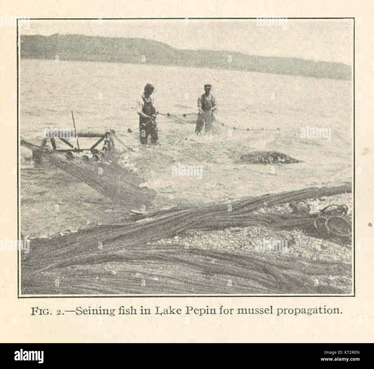 This image shows the process of seining fish in Lake Pepin, an effort ...