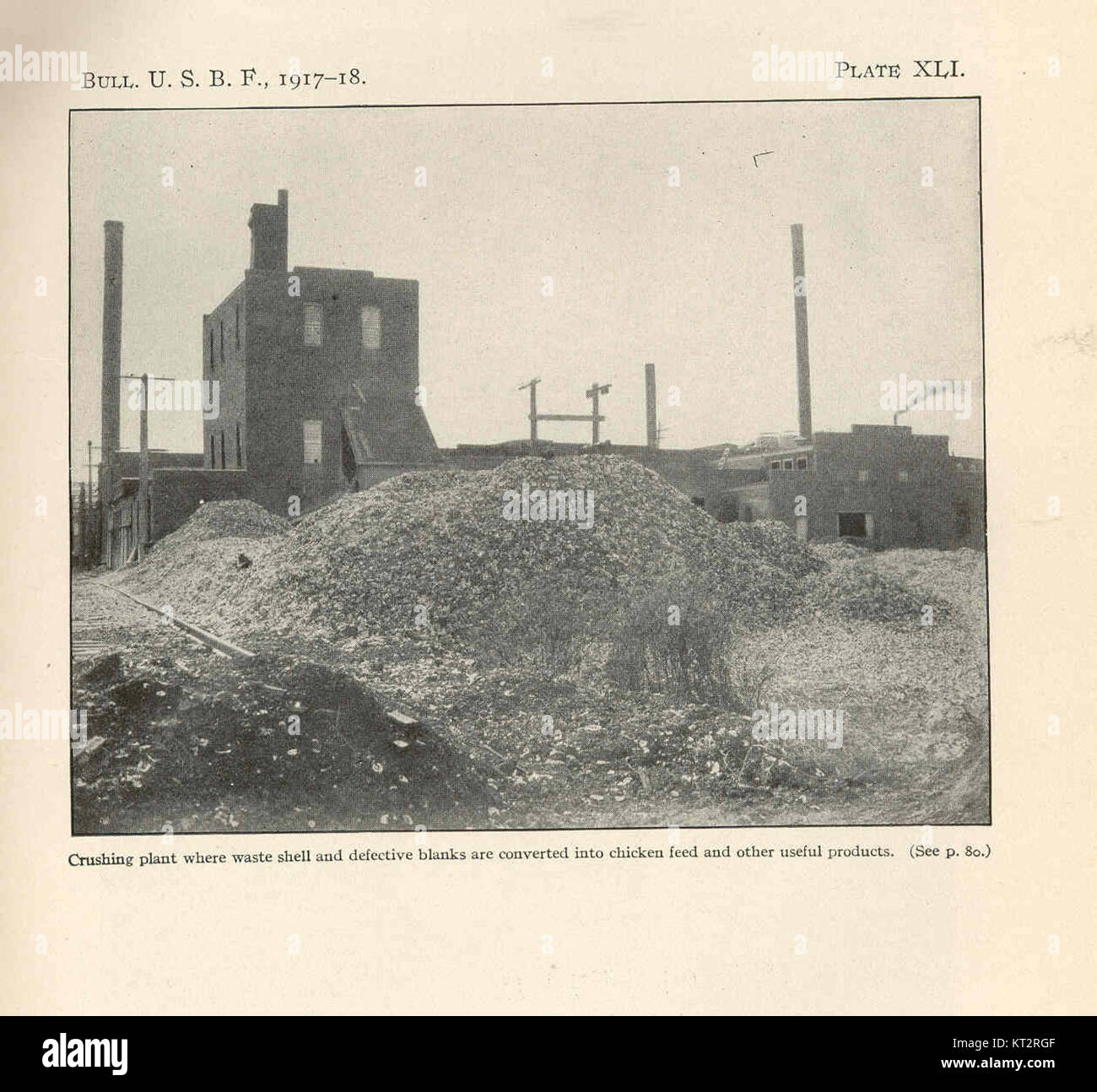 Shell recycling process hi-res stock photography and images - Alamy