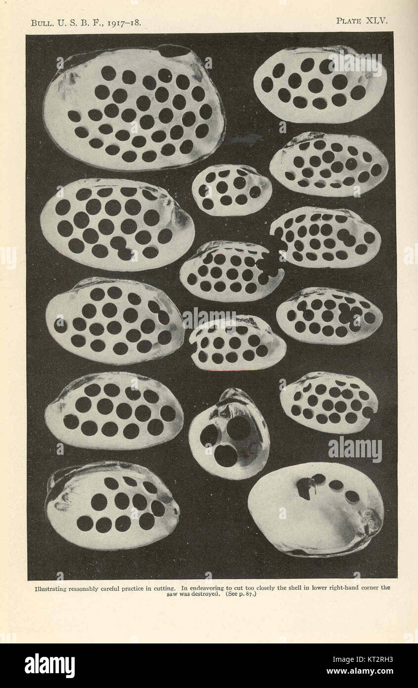 38293 Illustrating reasonably careful practice in cutting In ...