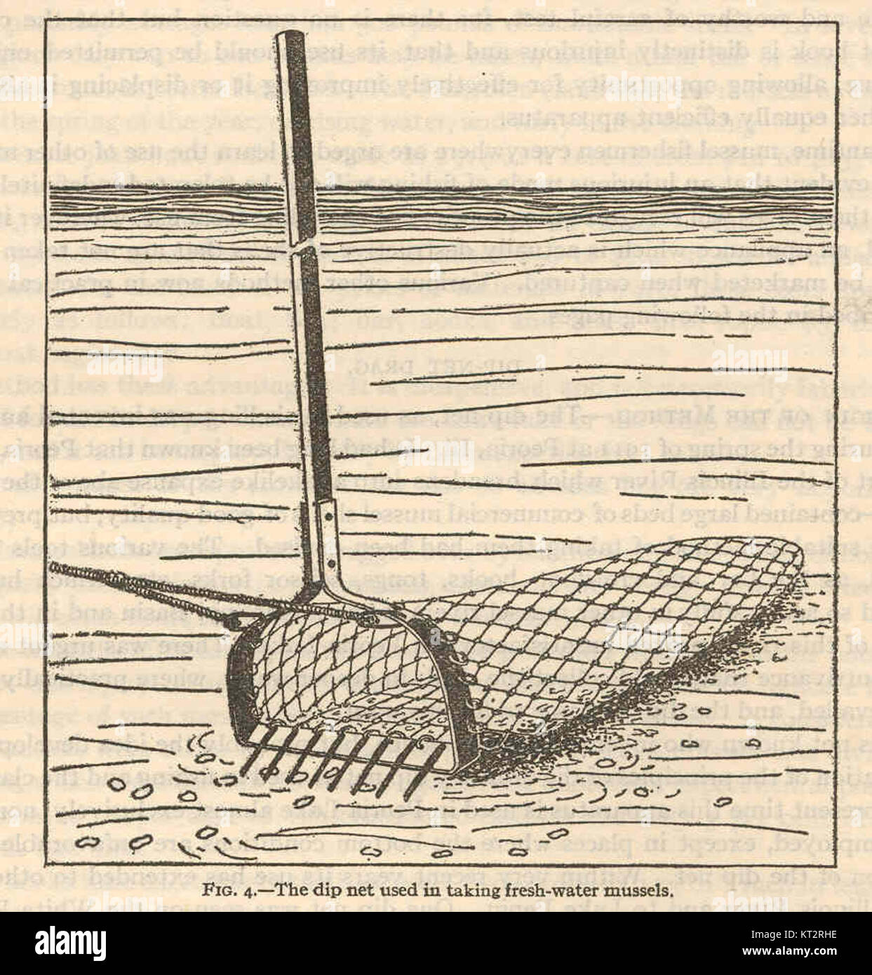 A dip net, such as the one shown, is commonly used for gathering fresh ...