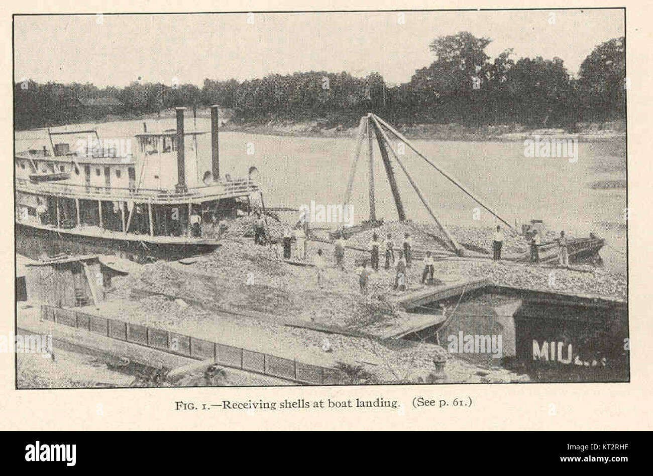 This image captures the process of receiving shells at a boat landing ...