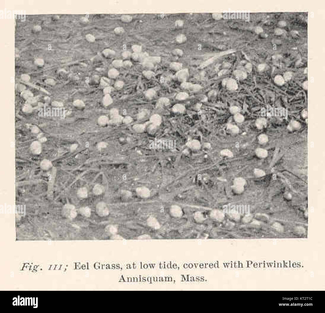 38573 hi-res stock photography and images - Alamy