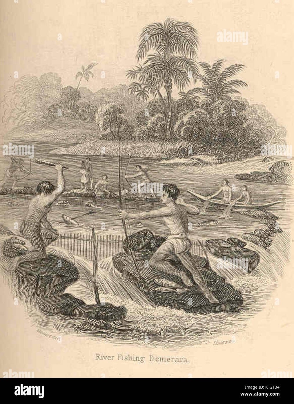 River fishing in the Demerara region is a popular activity, known for ...