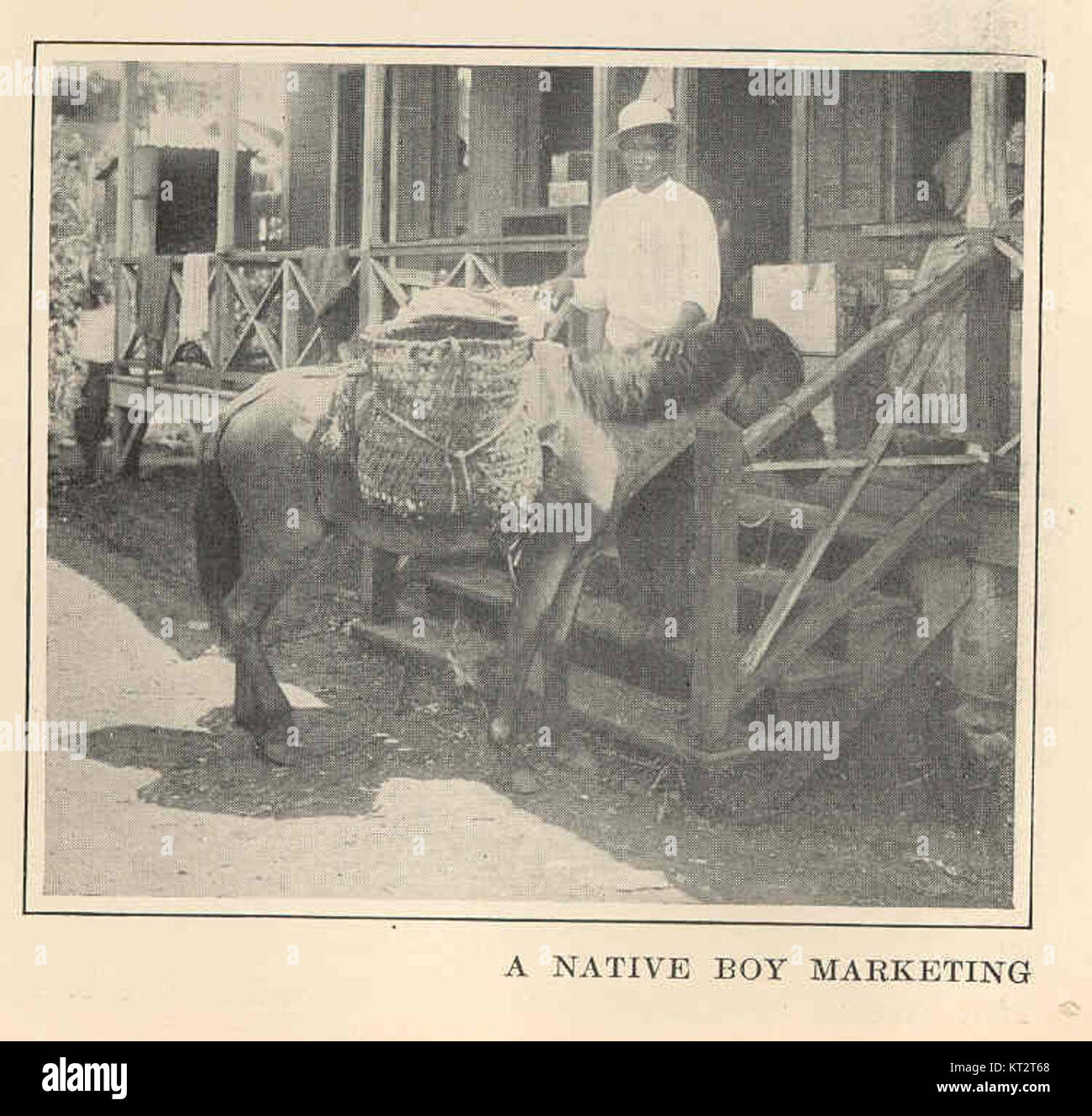 Native Boy Marketing is a company specializing in marketing strategies ...