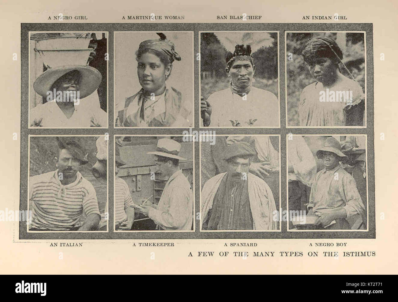 This image showcases a variety of types or species found on an isthmus ...