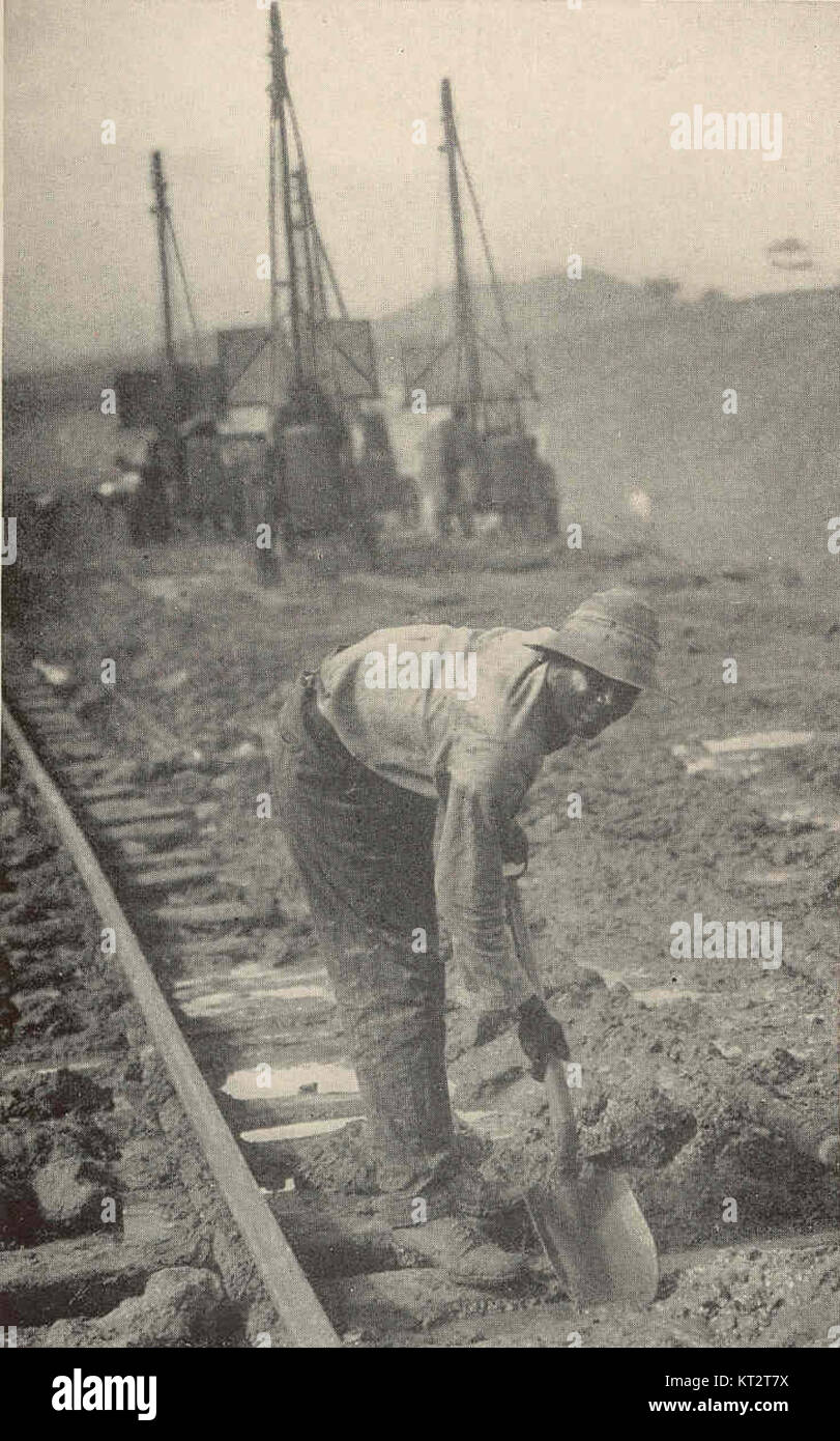 The 'Man of Brawn' refers to a muscular figure, often depicted as a ...