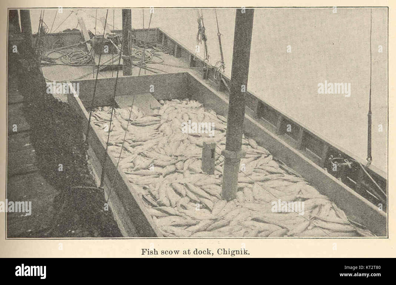 The Fish Scow at Dock in Chignik represents a vessel used for fishing ...