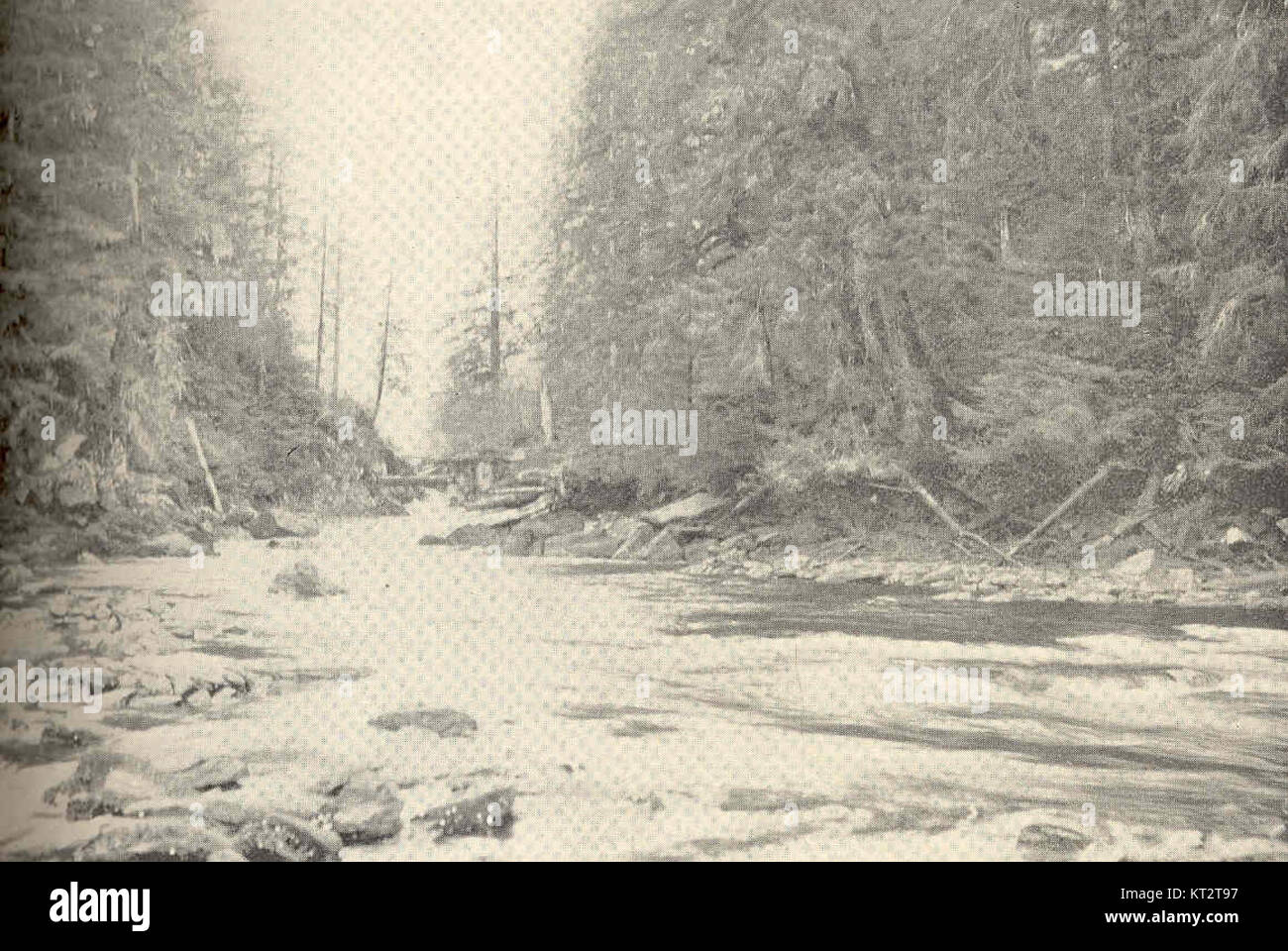 This photograph captures the mouth of a stream draining into a lake ...