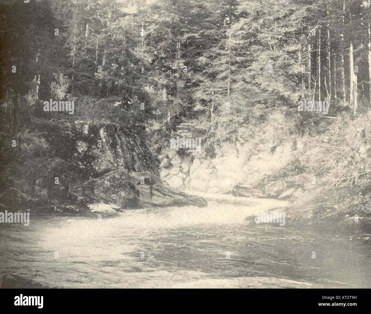 This image depicts the rapids in a stream near Ketchikan, Alaska ...