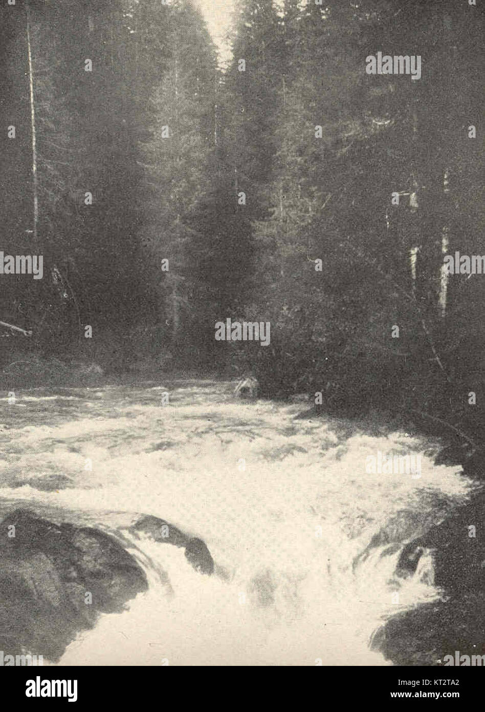 This image features the 38755 Cascade in Ketchikan, Alaska. The cascade ...