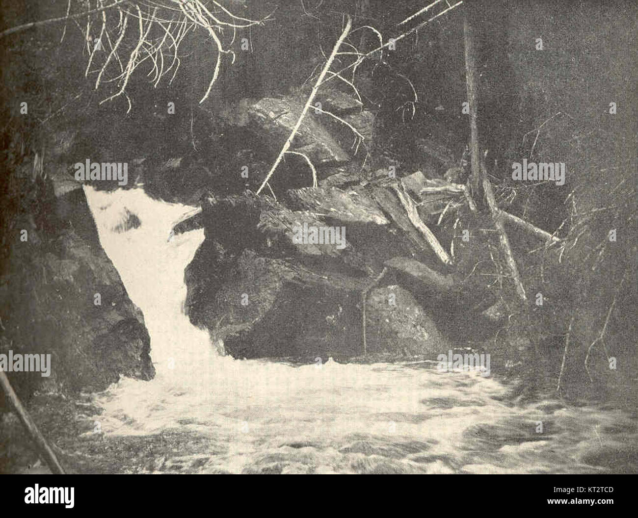 Cascade 38808 is a waterfall located in a stream near Niblack Anchorage ...