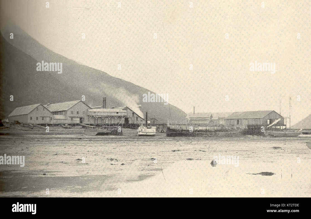 Chignik hi-res stock photography and images - Alamy