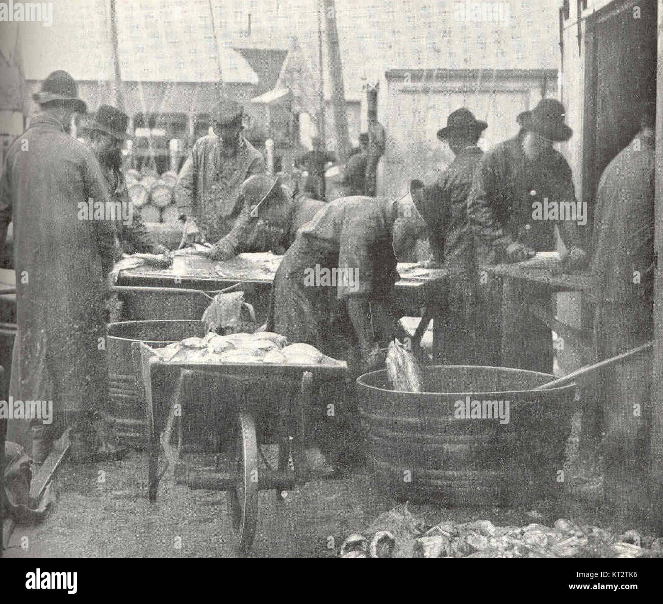 This image shows the traditional process of dressing and washing cod ...