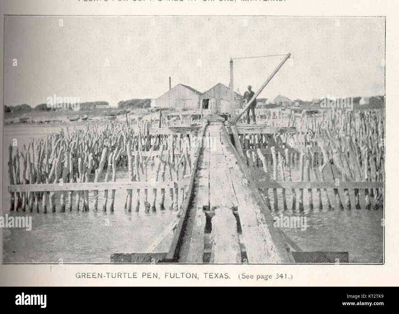 This image shows the Green-Turtle Pen located in Fulton, Texas, used ...