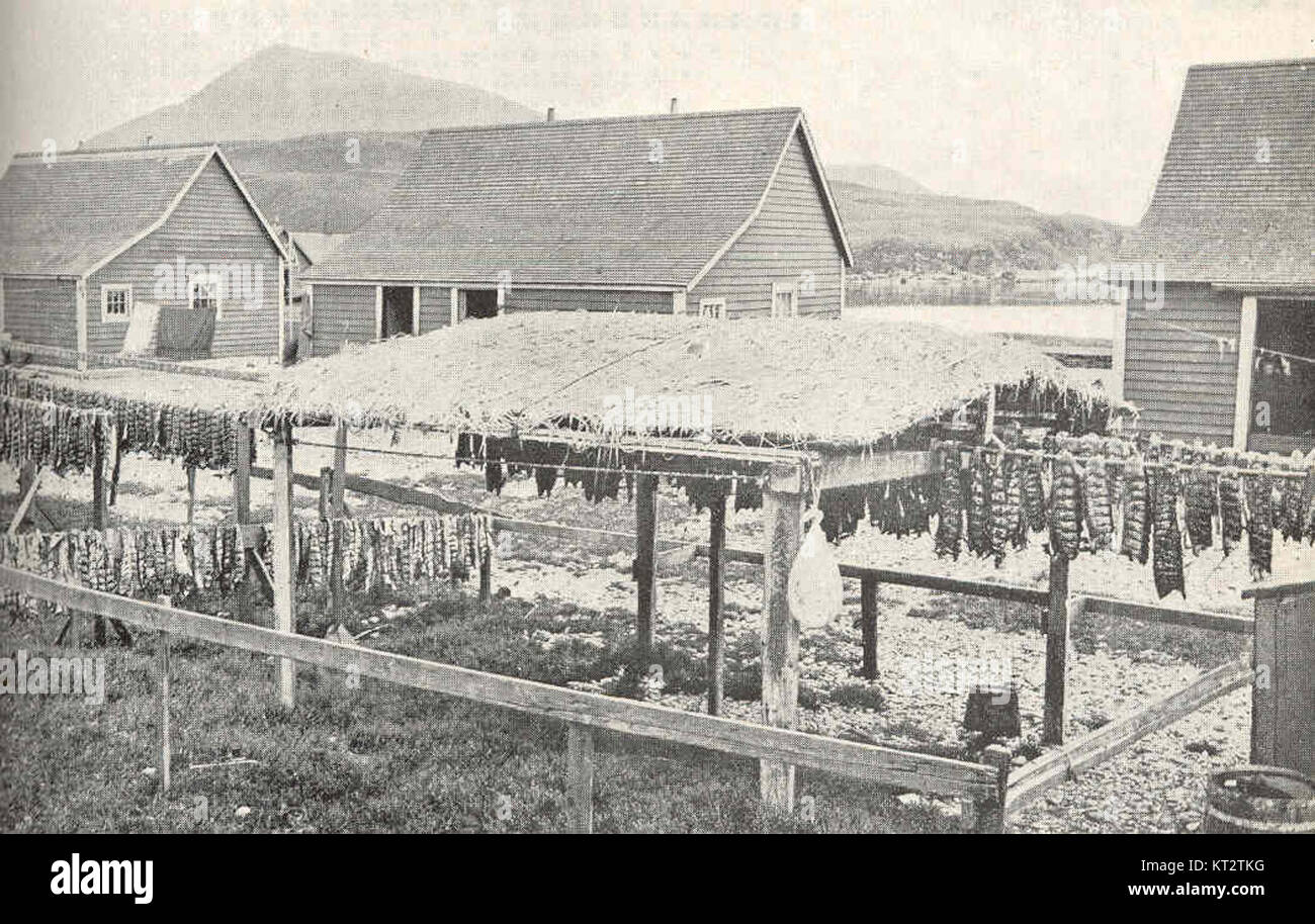 Salmon drying indigenous hi-res stock photography and images - Alamy