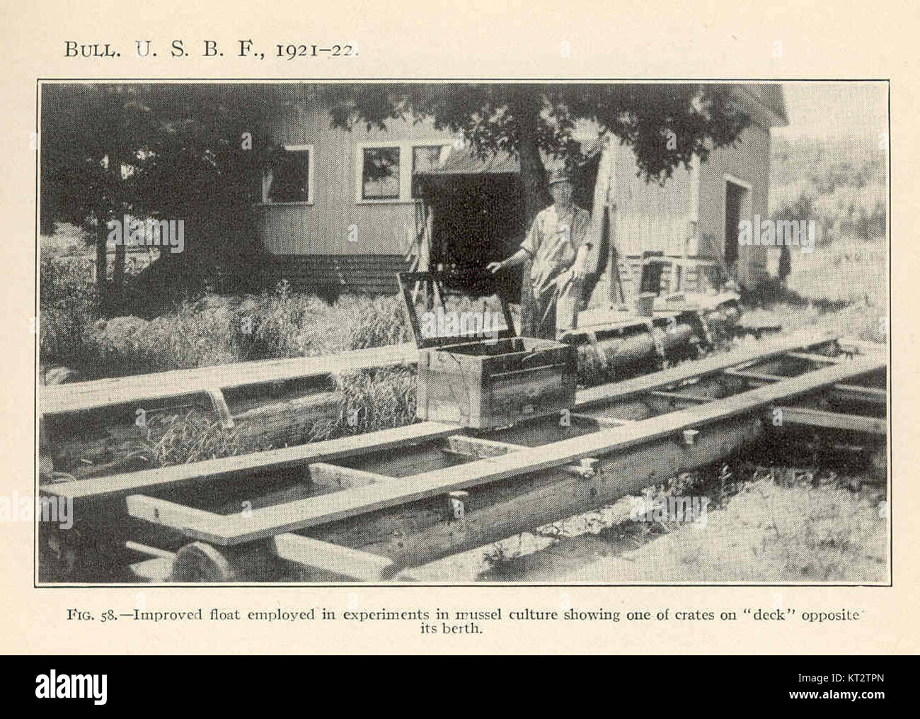 This image illustrates the improved float used in mussel culture ...