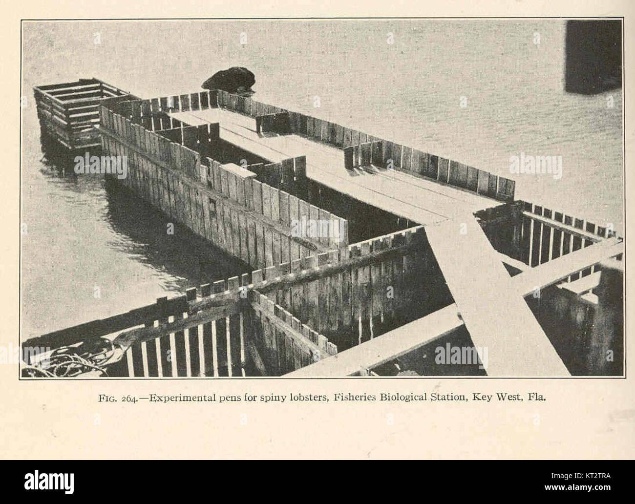 Experimental pens at the Fisheries Biological Station in Key West ...