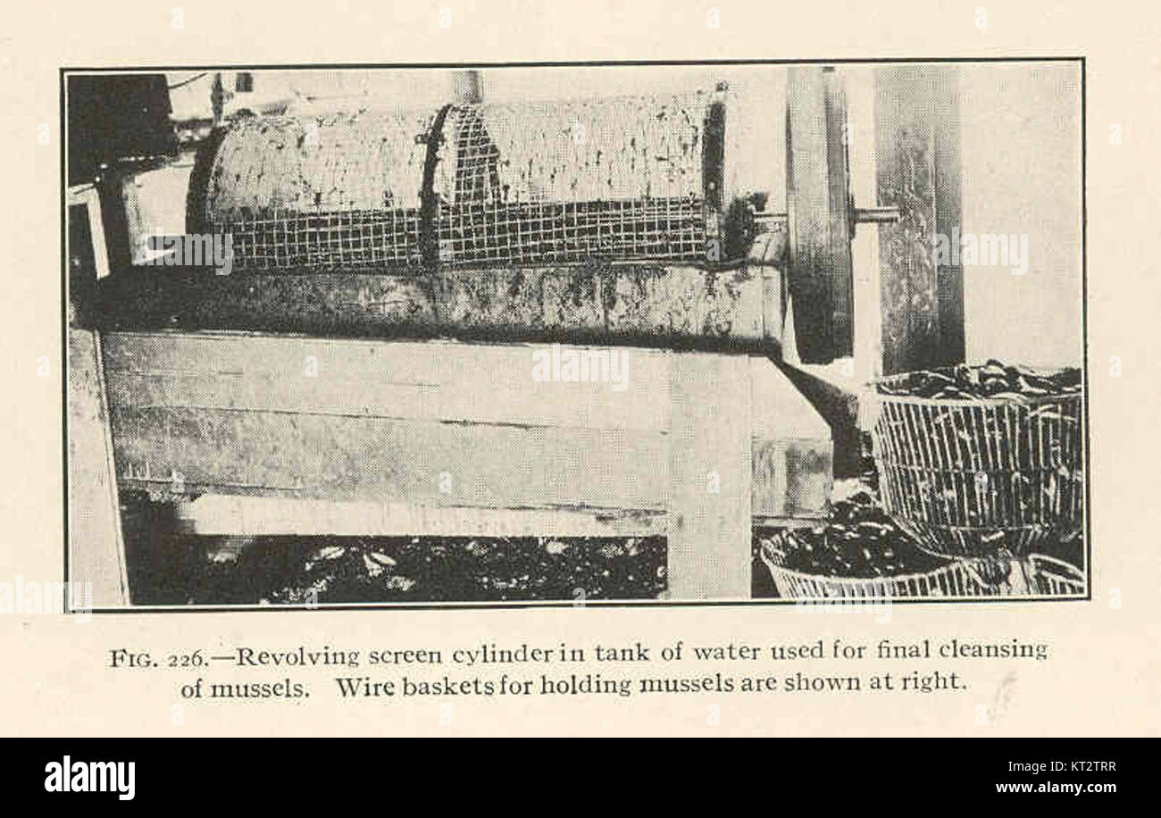 39044 Revolving screen cylinder in tank of water used for final ...