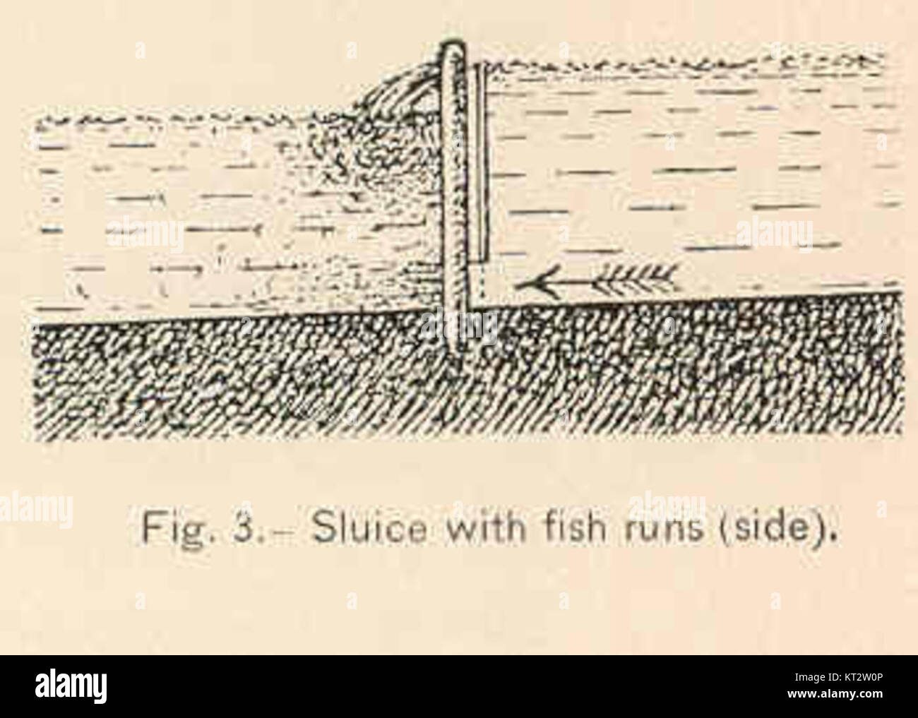 This image shows a sluice system equipped with fish runs, designed to ...