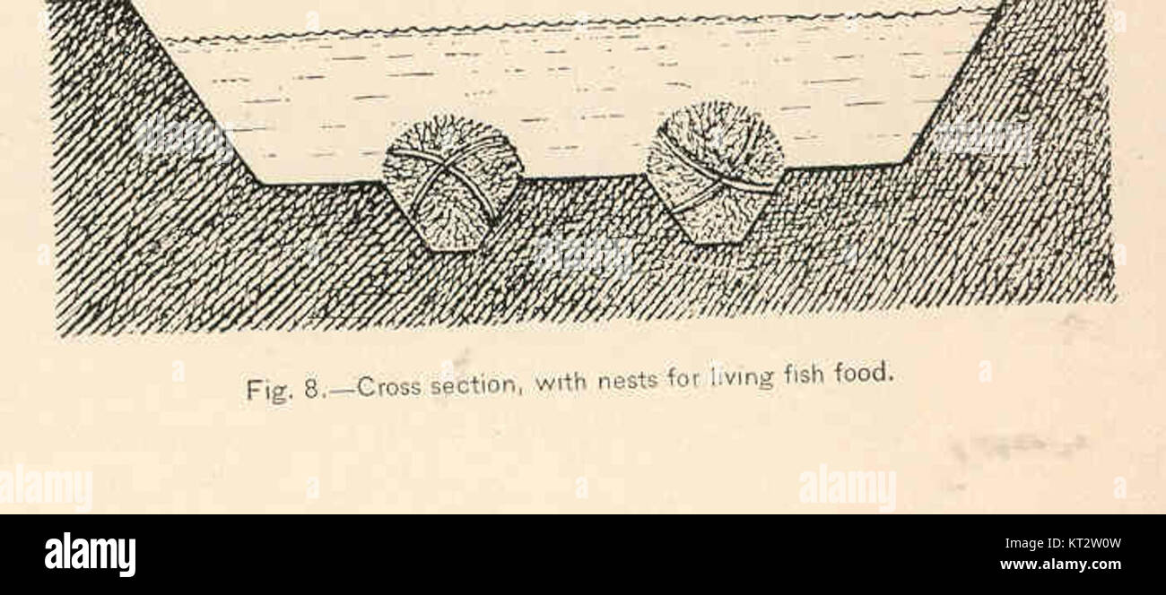 This image depicts a cross-sectional view of an aquatic environment ...