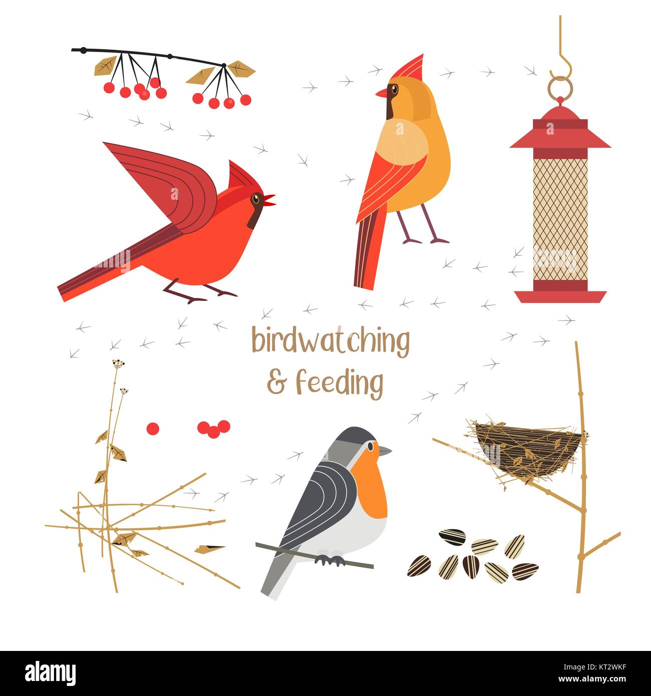 Birdwatching, bird feeding icon set Stock Vector Image & Art - Alamy