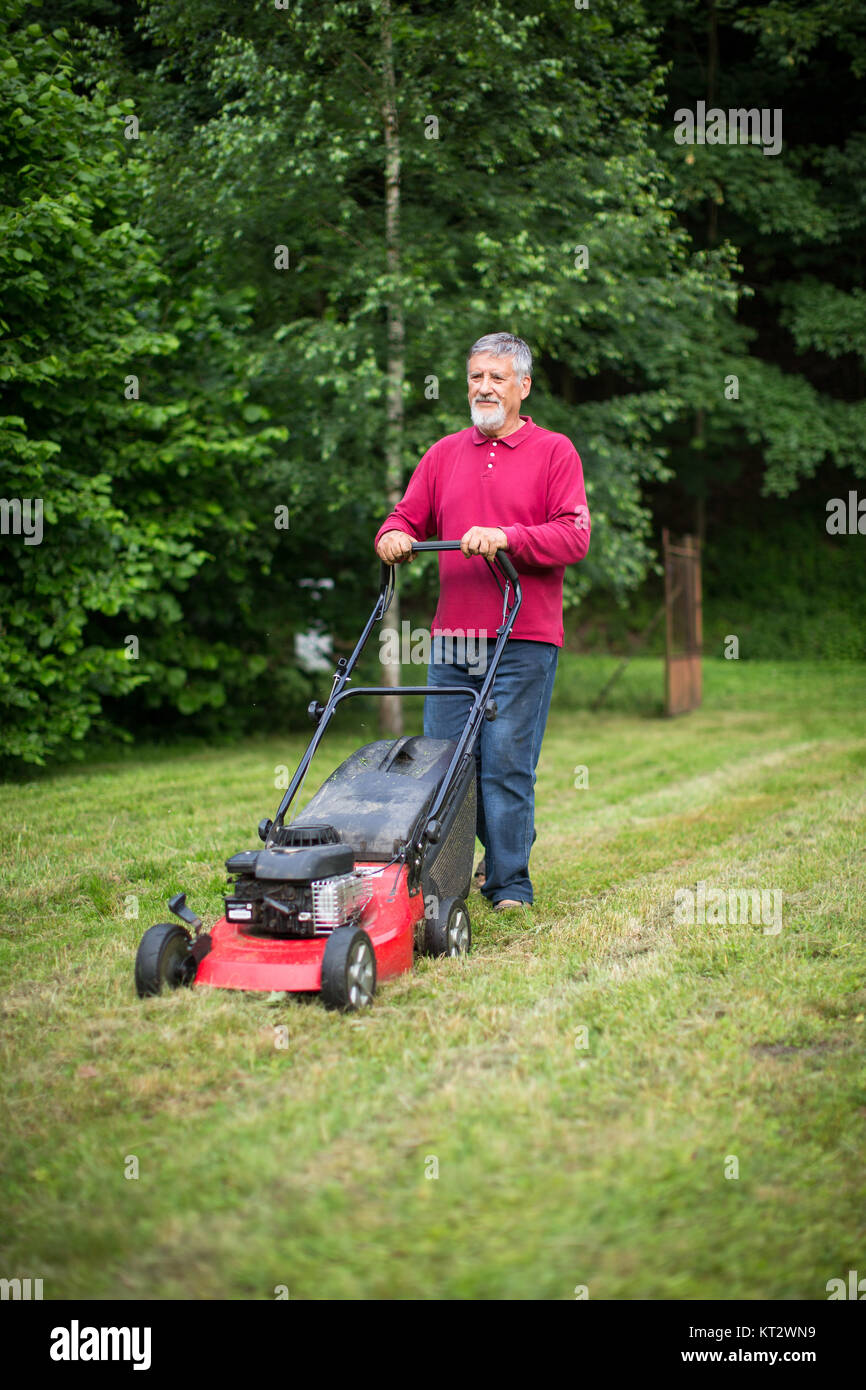 Senior man mowing the lawn in his garden Stock Photo - Alamy