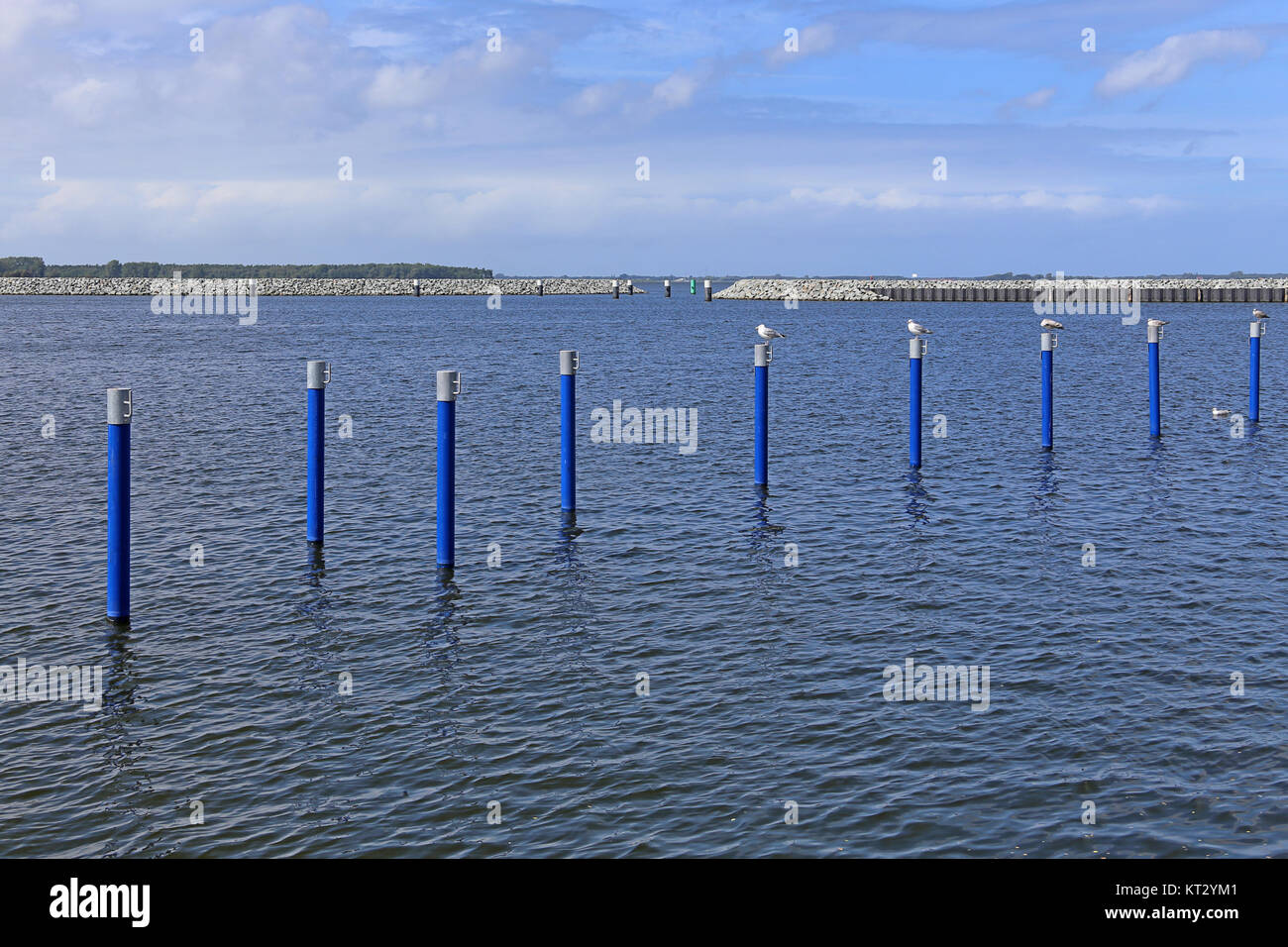 at the barther bodden near barth Stock Photo - Alamy