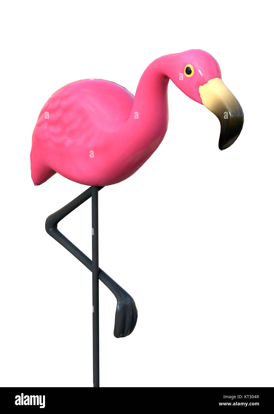 Pink color bird Cut Out Stock Images & Pictures - Alamy