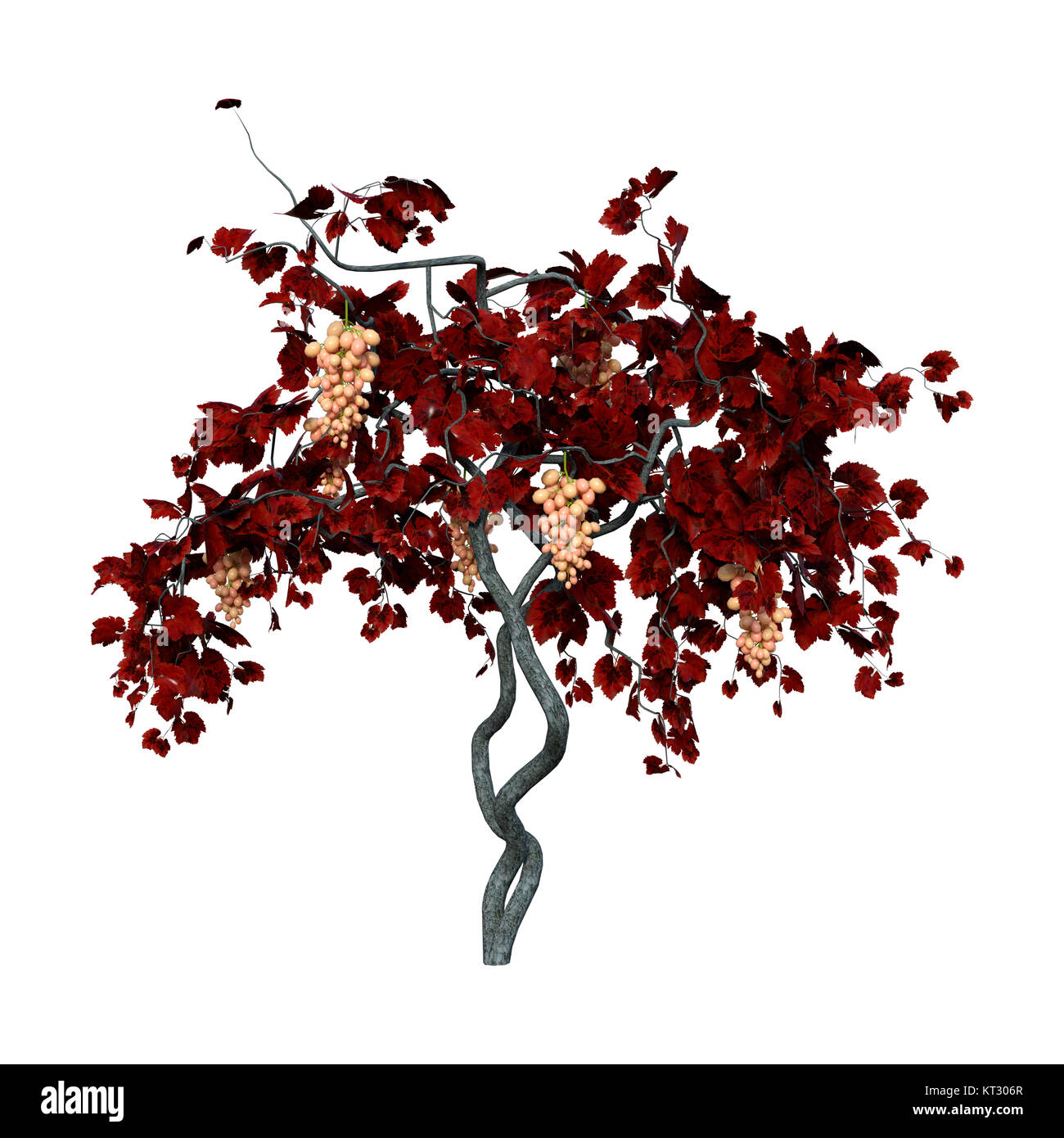 3d rendering agriculture harvest hi-res stock photography and images ...