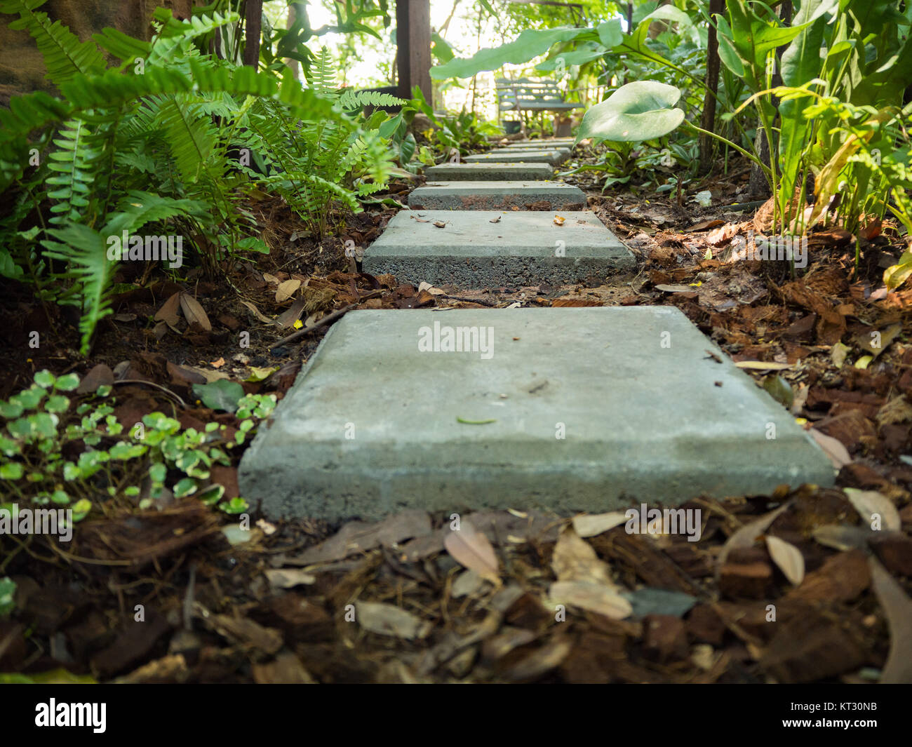 Pathway in the garden Stock Photo - Alamy