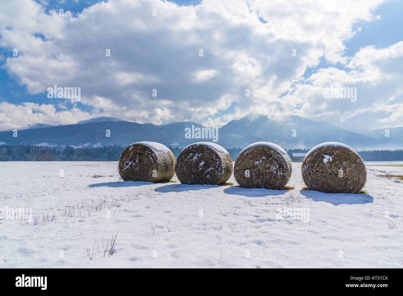 snow-covered straw bales Stock Photo - Alamy