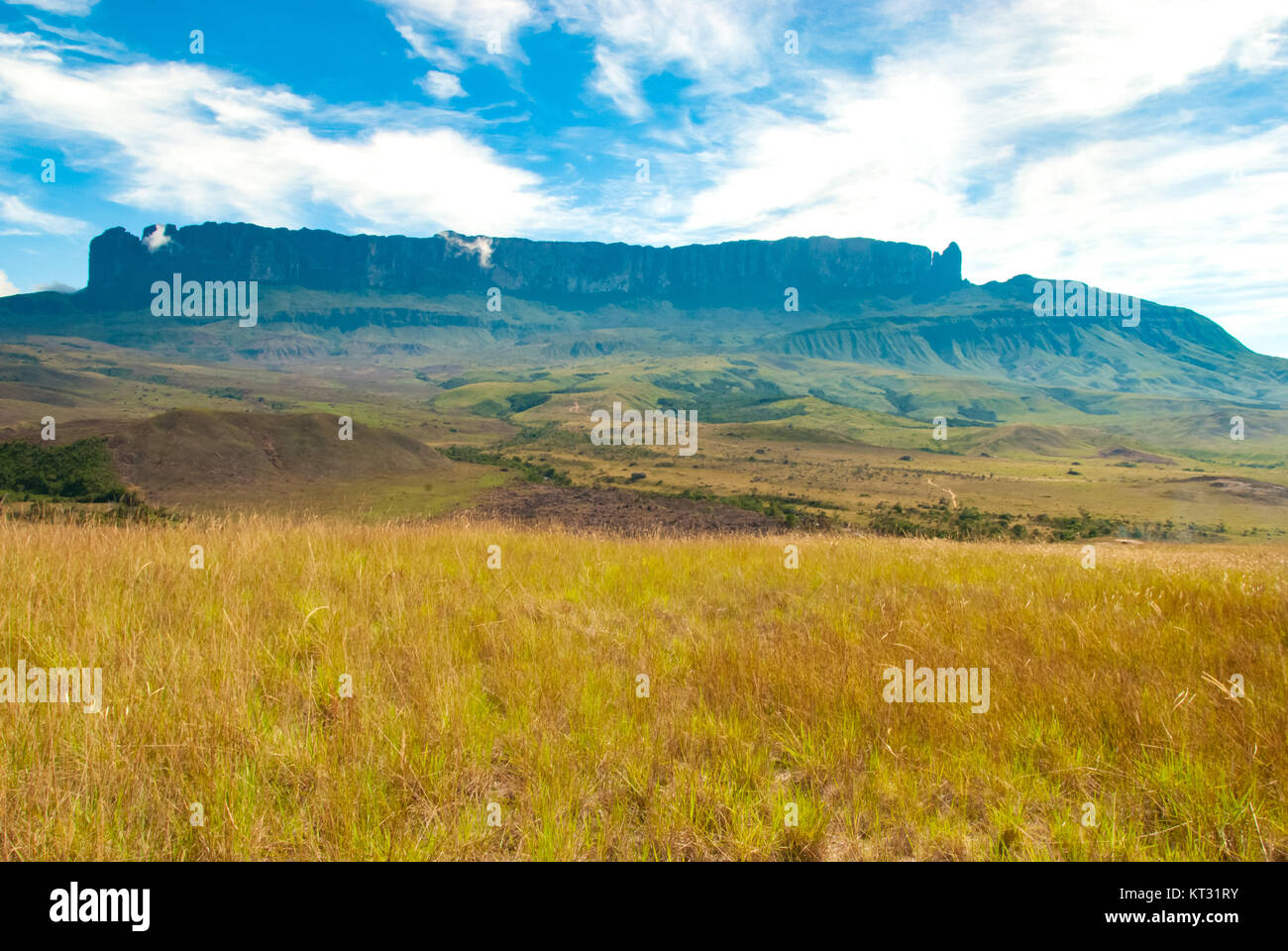 Roraima Tepui, Gran Sabana, Venezuela Stock Photo - Alamy