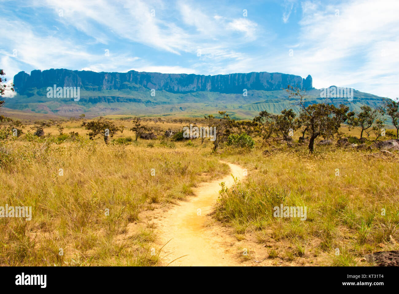 Roraima Tepui, Gran Sabana, Venezuela Stock Photo - Alamy