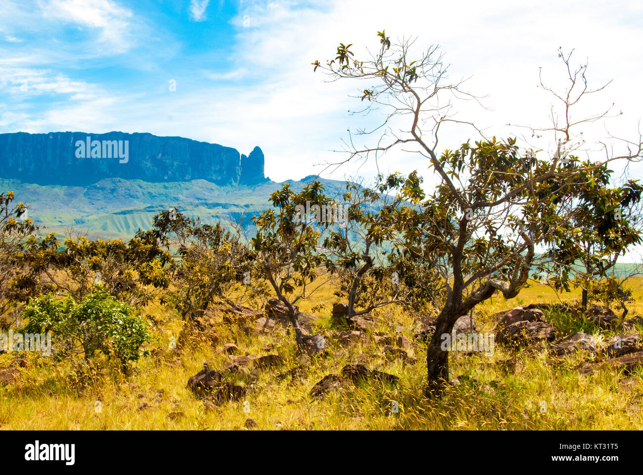 Roraima Tepui, Gran Sabana, Venezuela Stock Photo - Alamy
