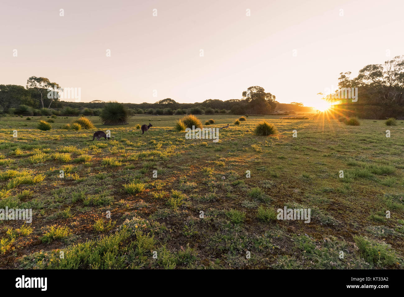 Sunset on Kangaroo Island Stock Photo - Alamy